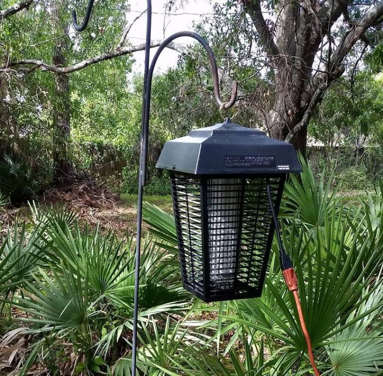 No yellow jackets yet | Andrea de Michaelis – Creating my own reality ...